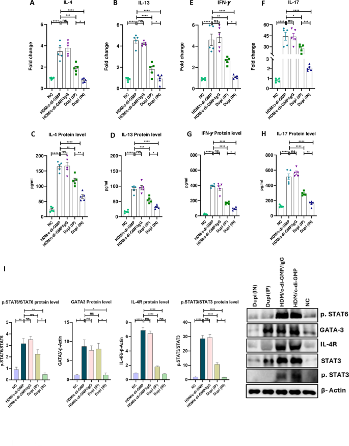 Intranasal dupilumab improves responsiveness to steroid in an asthma ...