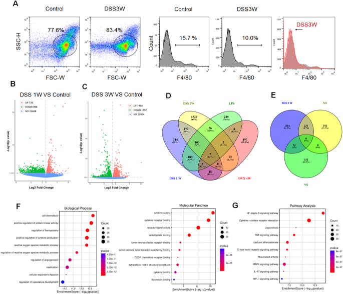 Transcriptomic profiling reveals a dramatic inflammatory shift in ...