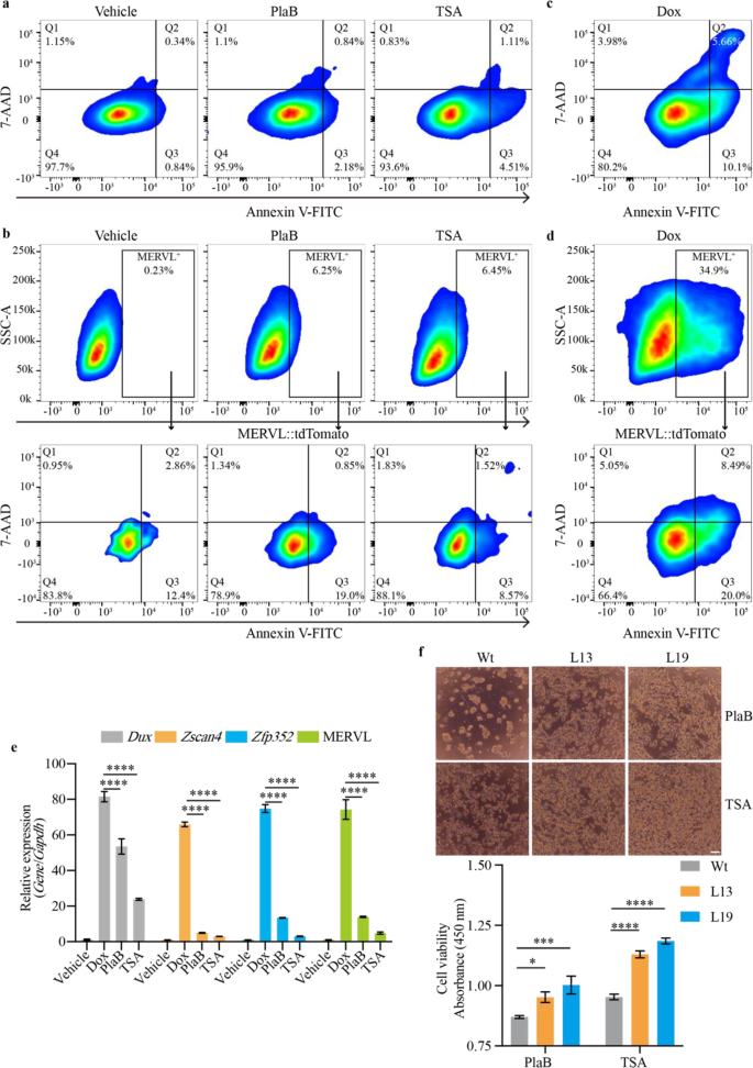 The pluripotent-to-totipotent state transition in mESCs activates the ...