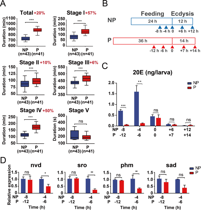 Symbiotic bracovirus of a parasite modulate host ecdysis process ...