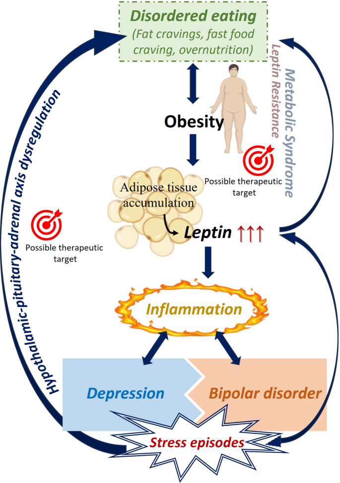 Leptin a potential link between obesity and depression | Cellular and ...