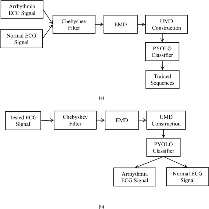 An ECG Signal Classification System Using EMD and Pipelined Yolo ...
