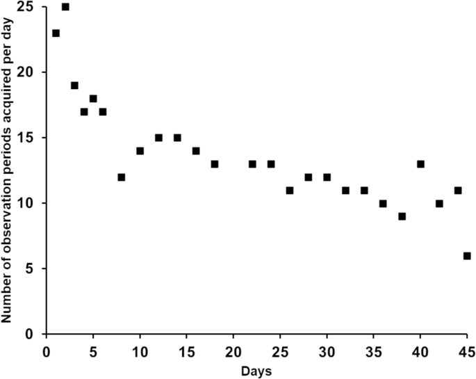 Polyethism during the intermolt in Coptotermes gestroi (Wasmann ...