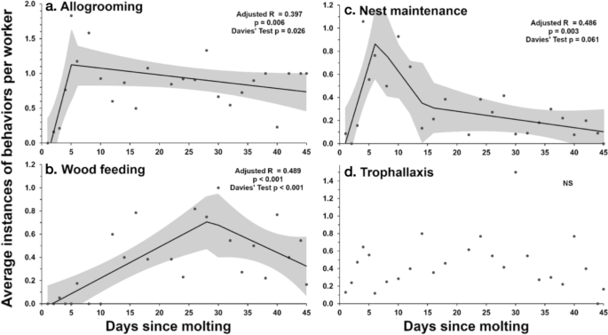 Polyethism during the intermolt in Coptotermes gestroi (Wasmann ...