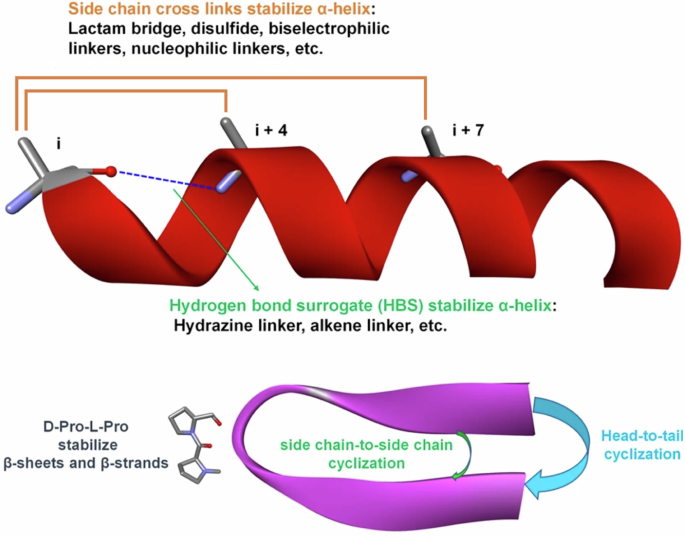 Peptide-based therapeutics: challenges and solutions | Medicinal ...