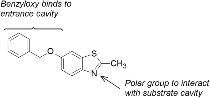 Synthesis and evaluation of 2-methylbenzothiazole derivatives as ...
