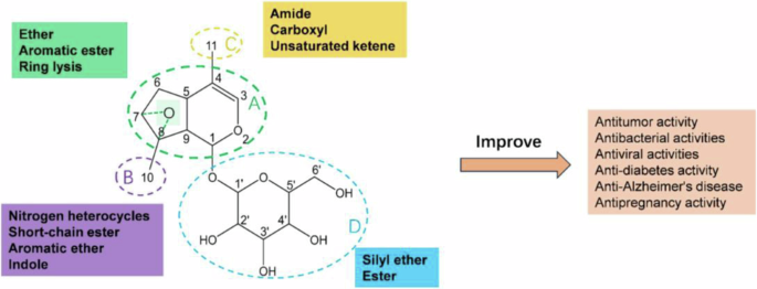 Iridoid for drug discovery: Structural modifications and bioactivity ...