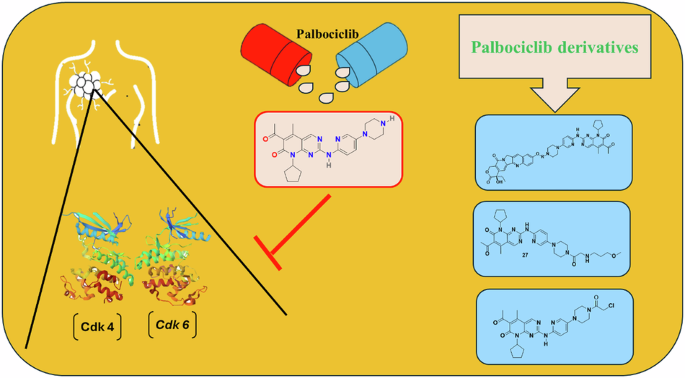 Pharmacological significance of palbociclib and its derivatives in ...