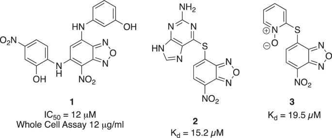 Benzoxa-[2,1,3]-diazole substituted amino acid hydrazides as ...