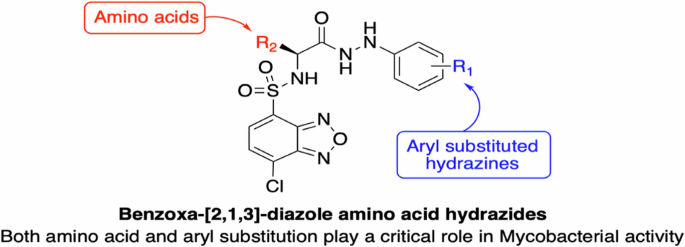 Benzoxa-[2,1,3]-diazole substituted amino acid hydrazides as ...