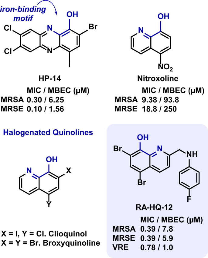Halogenated quinoline kill agent rapidly induces iron starvation of ...