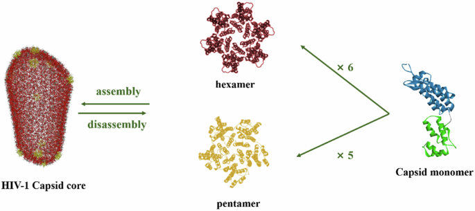 Lenacapavir, a first-in-class, long-acting capsid inhibitor approved ...