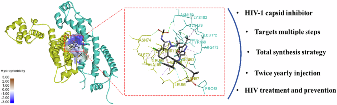 Lenacapavir, a first-in-class, long-acting capsid inhibitor approved ...