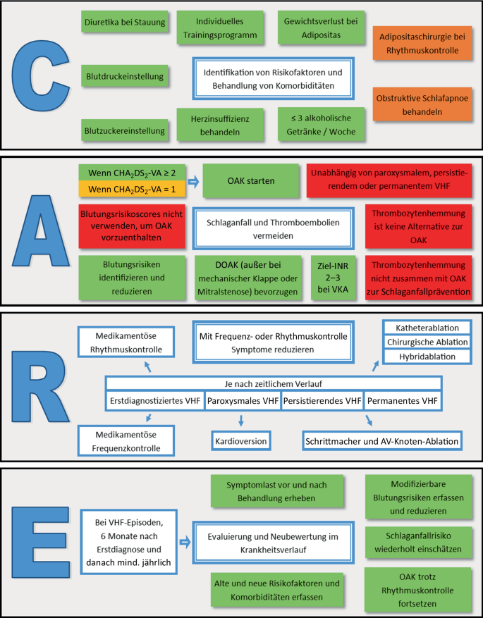 European Society of Cardiology(ESC)-Leitlinie Vorhofflimmern 2024 | Herz
