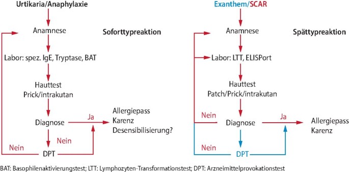 Allergische Arzneimittelreaktionen - ein Update | HNO Nachrichten