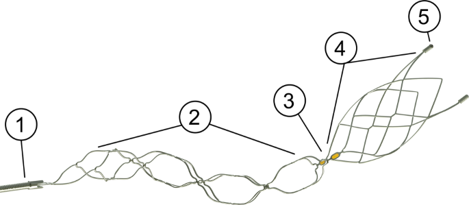 First Experience with the Nimbus Stentretriever | Clinical Neuroradiology