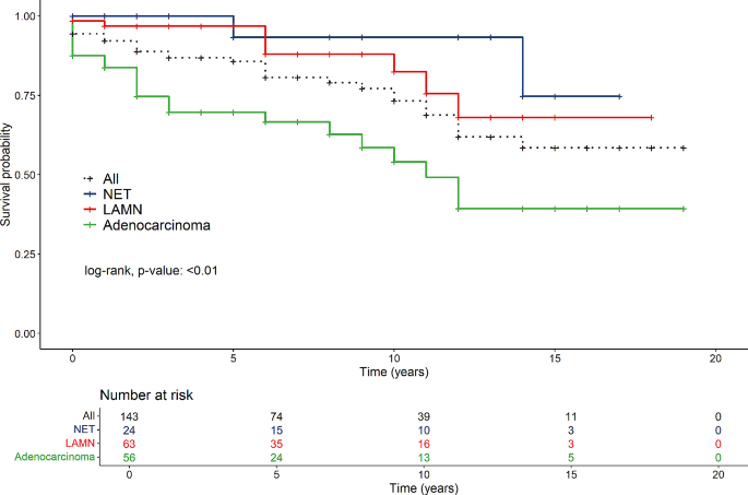 Survival among 148 patients with an incidentally detected appendiceal ...