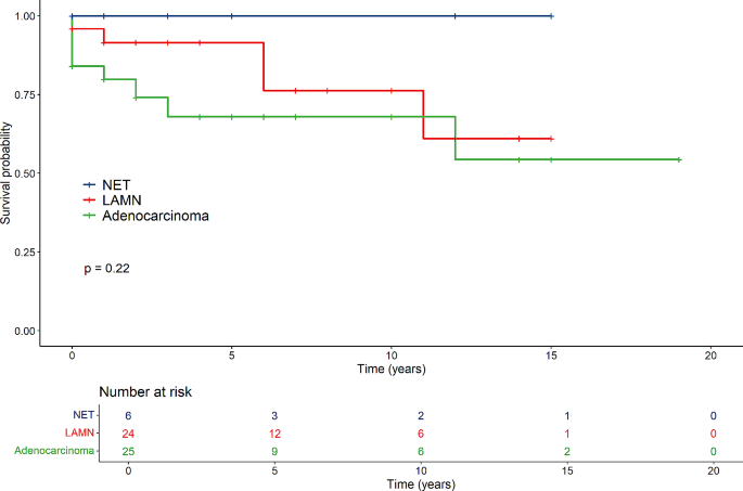 Survival among 148 patients with an incidentally detected appendiceal ...