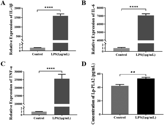 Lipopolysaccharide (LPS)-induced inflammation in RAW264.7 cells is ...