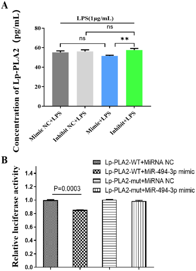 Lipopolysaccharide (LPS)-induced inflammation in RAW264.7 cells is ...