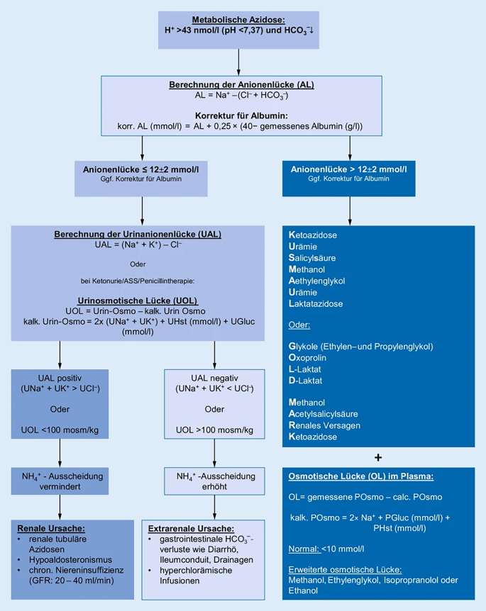 Notfälle in der Nephrologie | Die Innere Medizin