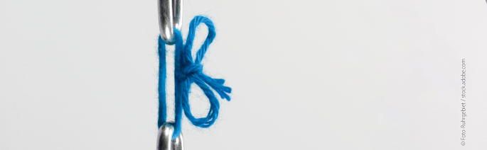 Frailty und Intrinsic Capacity | Die Innere Medizin | Springer Nature Link