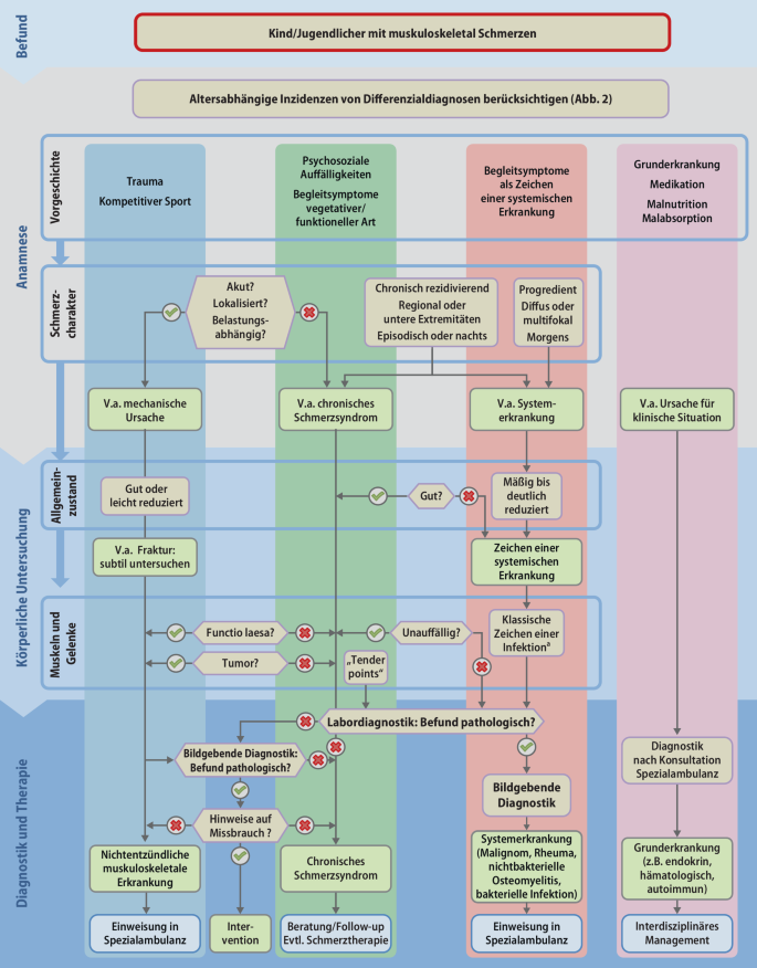 Aktualisierte Handlungsempfehlung nach der Leitlinie „Muskuloskelettale ...