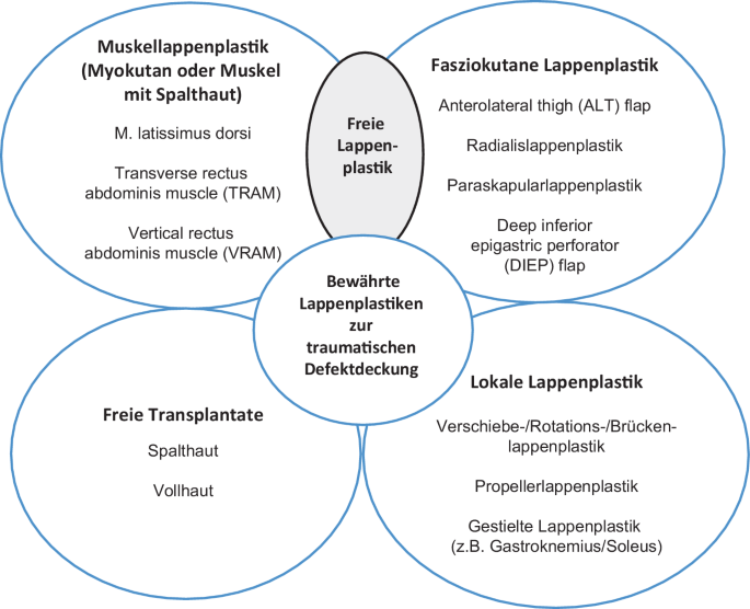 Plastisch-ästhetische Wiederherstellung traumatischer Defekte | Die ...