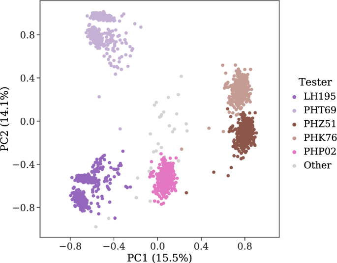 Using machine learning to combine genetic and environmental data for maize grain yield ...