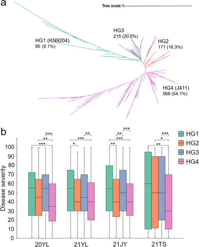 Yr29 combined with QYr.nwafu-4BL.3 confers durable resistance to stripe rust in wheat cultivar ...
