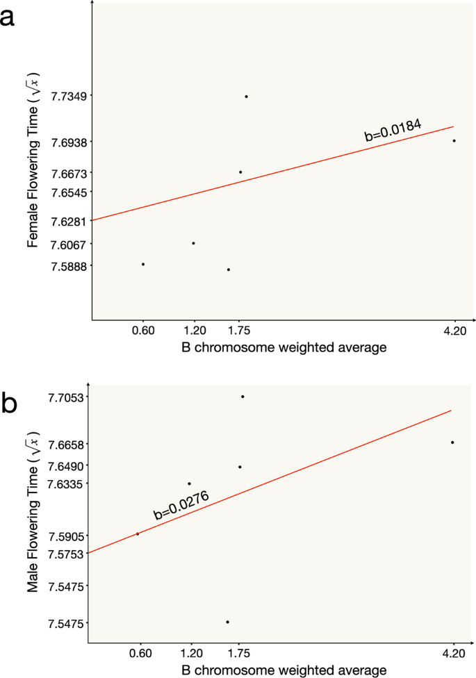 Maize B chromosome affects the flowering time | Theoretical and Applied ...