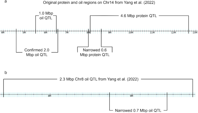 Dissecting seed composition QTL from wild soybean: fine-mapping ...