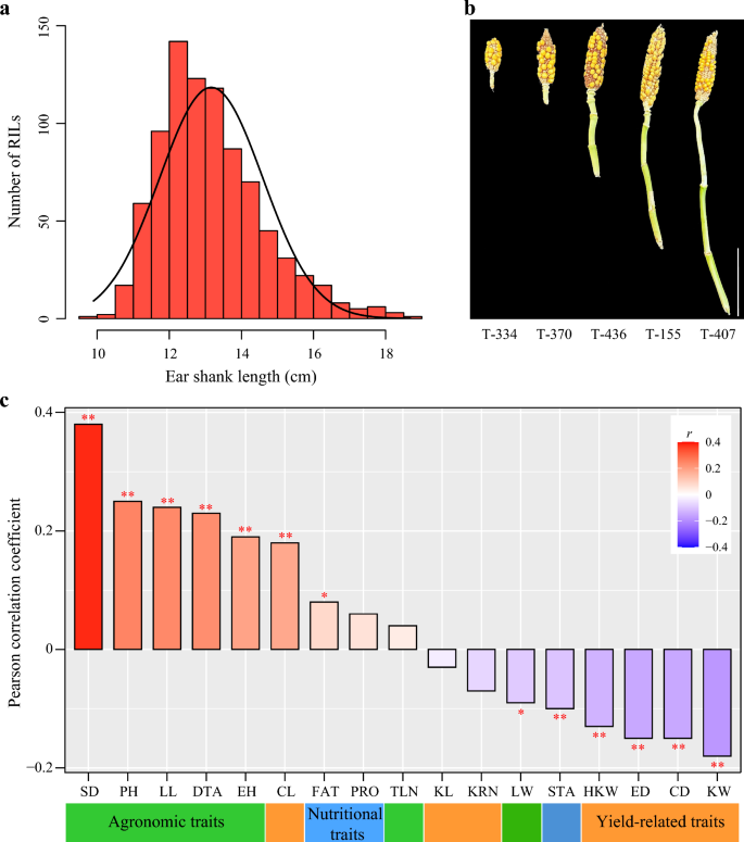 Integrative QTL mapping and RNA-seq unravel the genetic architecture ...