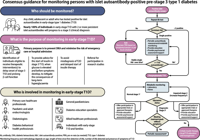 Consensus guidance for monitoring individuals with islet autoantibody ...