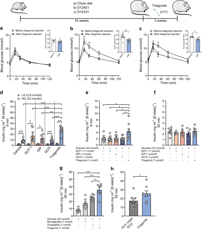 GLP-1/GIP/GCG receptor triagonist (IUB447) enhances insulin secretion ...