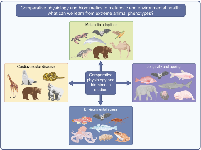 Comparative physiology and biomimetics in metabolic and environmental ...