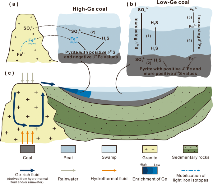 Germanium enrichment in coal-hosted germanium deposits: evidence from ...