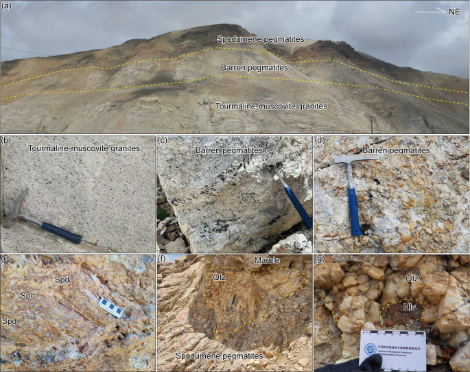Quartz compositions decipher the source and magmatic-hydrothermal ...