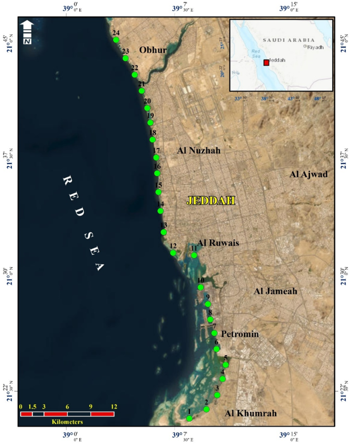 Distribution, Source, and Contamination of Heavy Metals in Coastal ...
