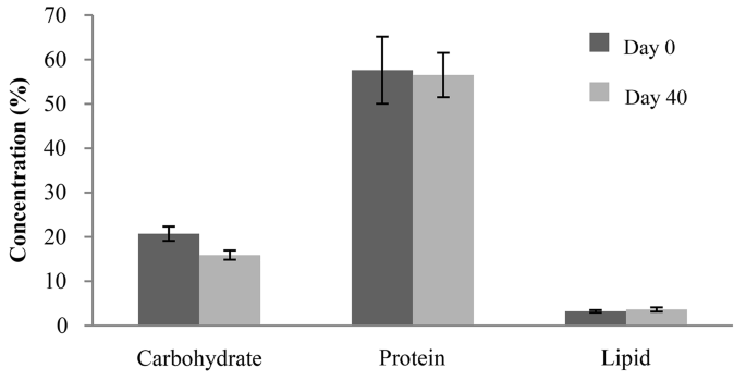 Role of Nitrifiers Associated with Mangrove clam Polymesoda Erosa in ...