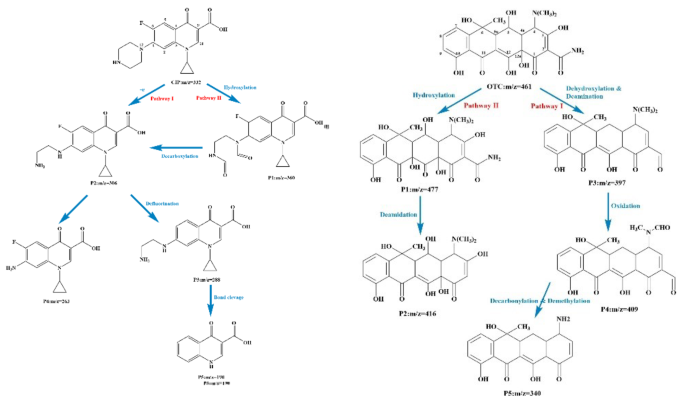 Removal of Antibiotics in Breeding Wastewater Tailwater Using ...