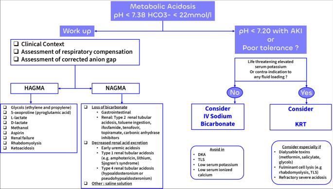 Short piece: metabolic acidosis | Intensive Care Medicine | Springer ...