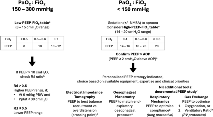 The medical management of acute respiratory distress syndrome ...
