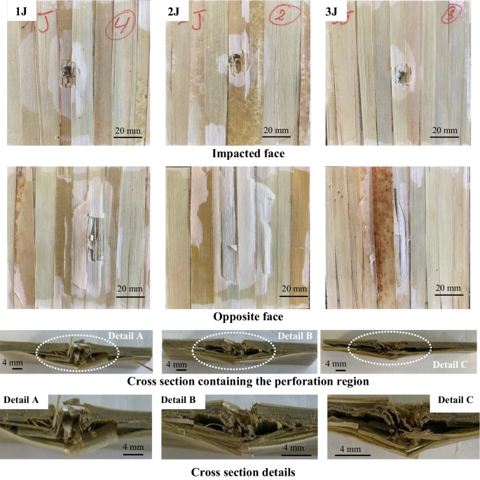 Impact response of new bio-sandwiches manufactured with a cork core and ...