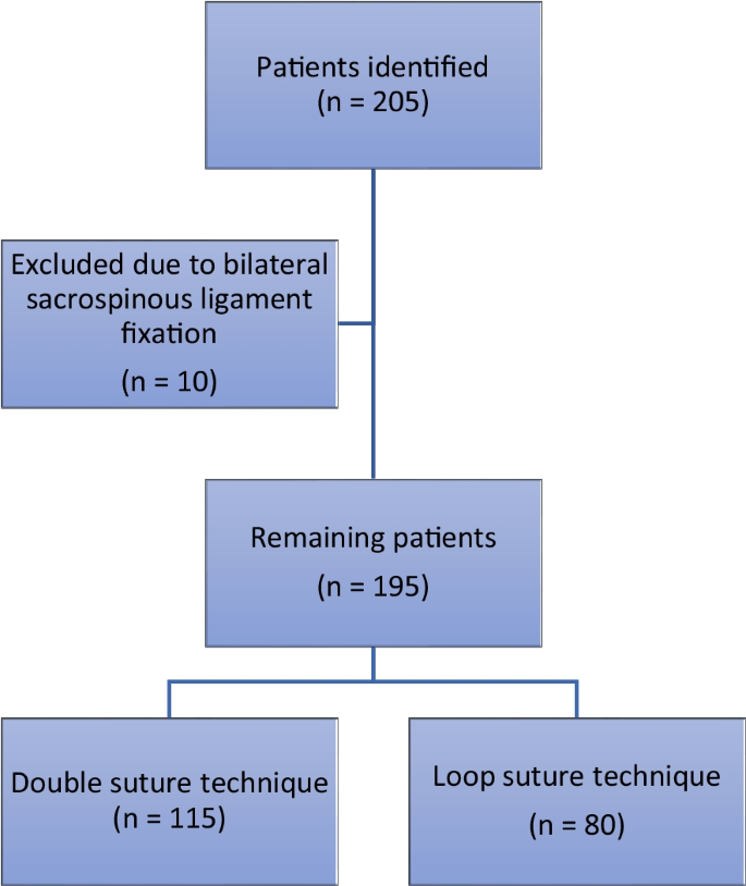 A Comparative Evaluation of Double Versus Loop Suture Techniques in ...