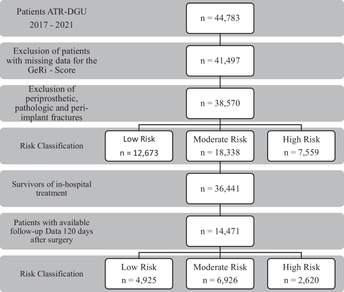 Validation of the Geriatrics at Risk Score (GeRi-Score) on 120-day ...