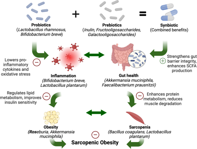 Impact of probiotic, prebiotic, and synbiotic supplementation on the ...