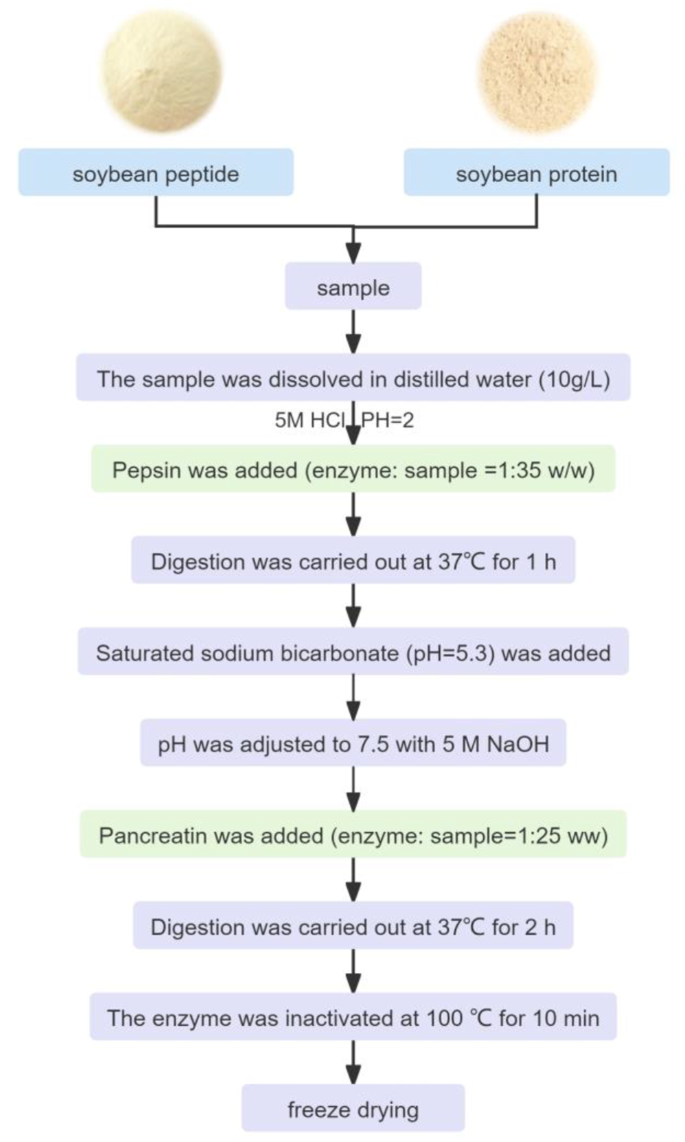 Effect of soybean proteins and peptides on the growth and adhesive ...