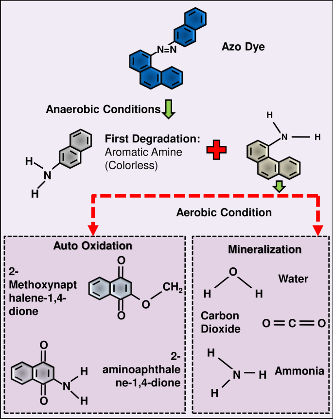 Progress and perspectives on microbial dye remediation: enzymatic ...