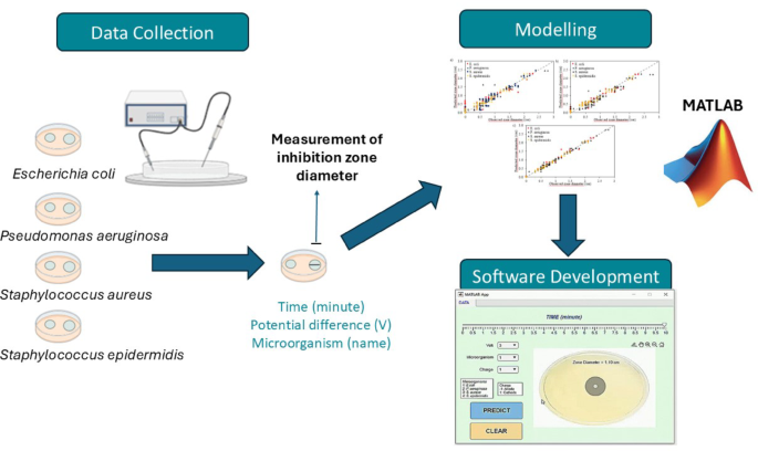 Analysis of disruptive action of electrical current on cell membrane ...